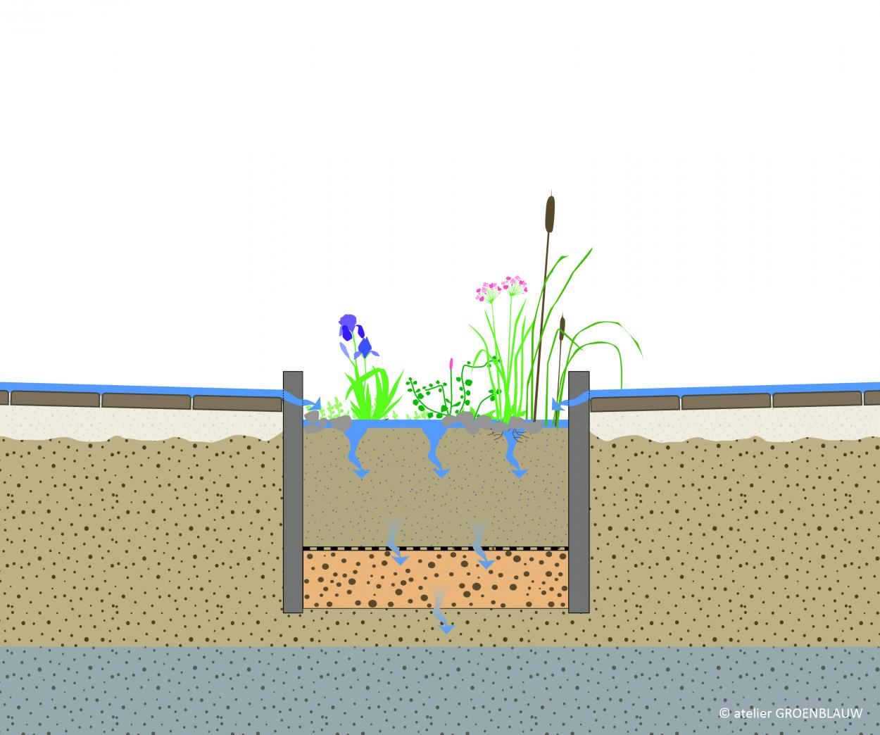 Infiltratievelden en -stroken | Eindhovenduurzaam